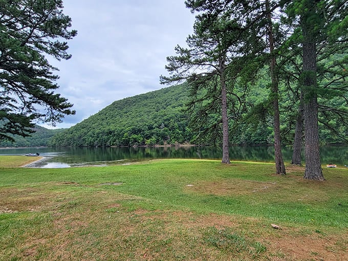 Mother Nature showing off at Claytor Lake, where pine-scented breezes and glassy waters make retirement feel less like slowing down and more like finally having time for what matters.