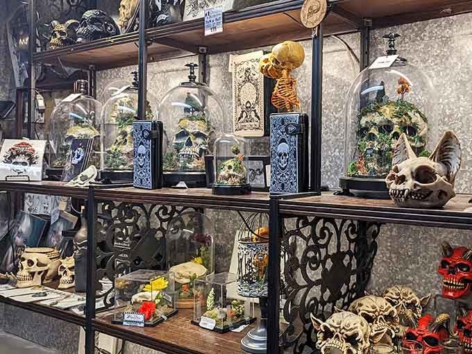 Glass domes protecting skulls like they're precious jewels, because in this world, they absolutely are treasures.