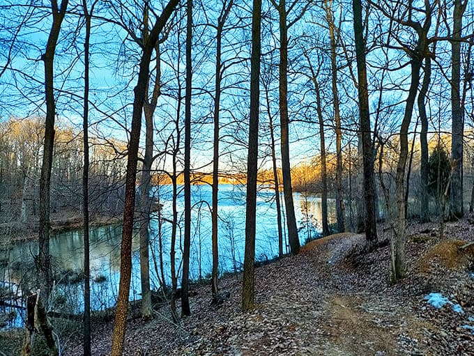 Mother Nature showing off at Grapevine Lake, where tranquil waters and bare winter trees create Kentucky's version of a meditation app.