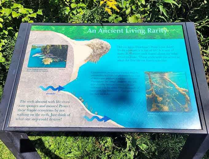 Nature's been keeping secrets at the bottom of these lakes for thousands of years, like a geological time capsule.