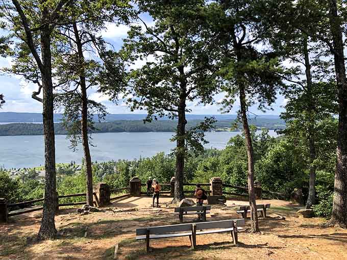 Panoramic lake views from the state park remind you why Alabama's natural beauty deserves more recognition.