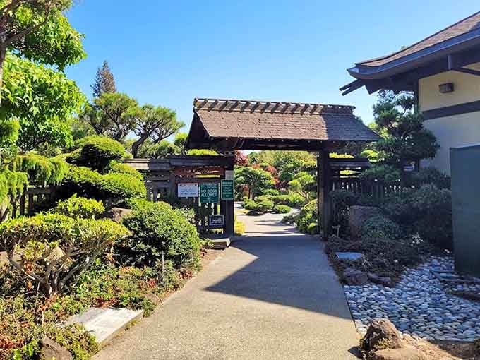 The entrance pathway whispers "leave your stress at the door" louder than any sign ever could.