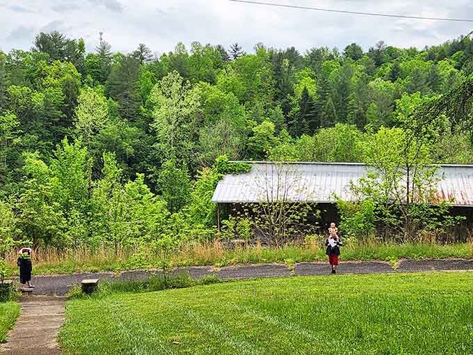 Even overgrown lots have their charm when framed by metal buildings that refuse to completely surrender to time.