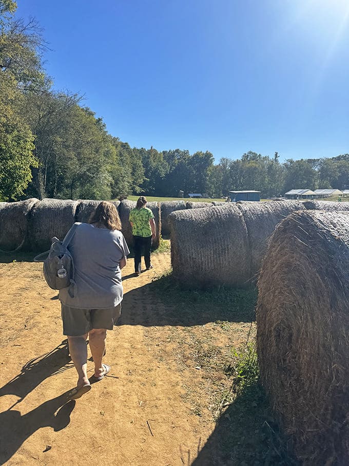 Between these hay bales, visitors discover the simple pleasure of a farm visit&mdash;no Instagram filter needed to enhance this authentic slice of rural Alabama.