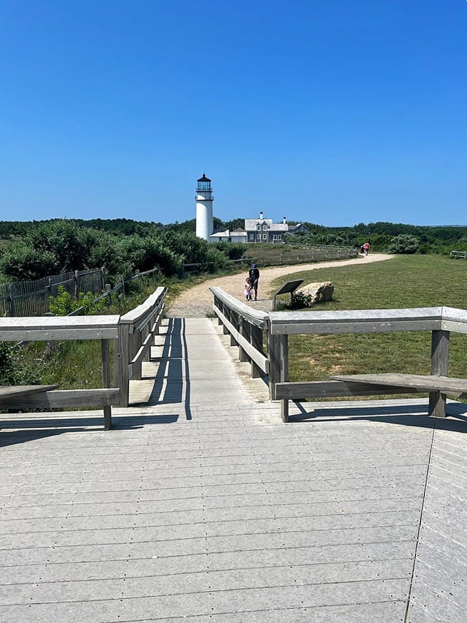 The approach to Highland Light feels like walking into a postcard that somehow became three-dimensional and real.