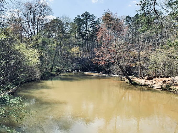 Settendown Creek flows peacefully through the park, offering that soothing water soundtrack your soul desperately needs right now.