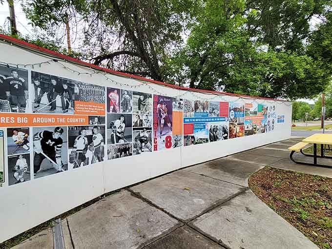 4. hockey history mural