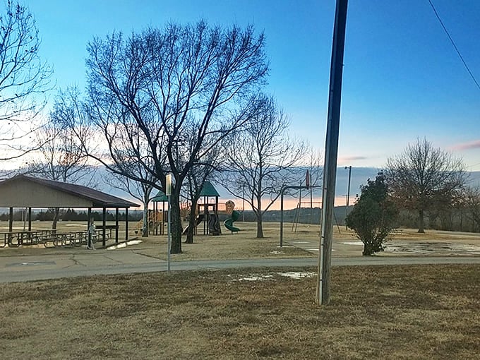 Dawn breaks over Hollier Park with that magical winter light that photographers chase and early risers treasure&mdash;nature's own meditation space.