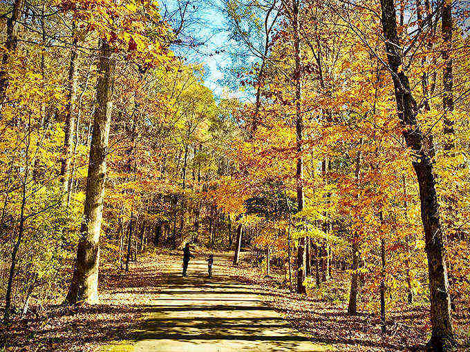 Shaded walking paths wind through the park, offering peaceful strolls while keeping energetic kids within easy sight and earshot.