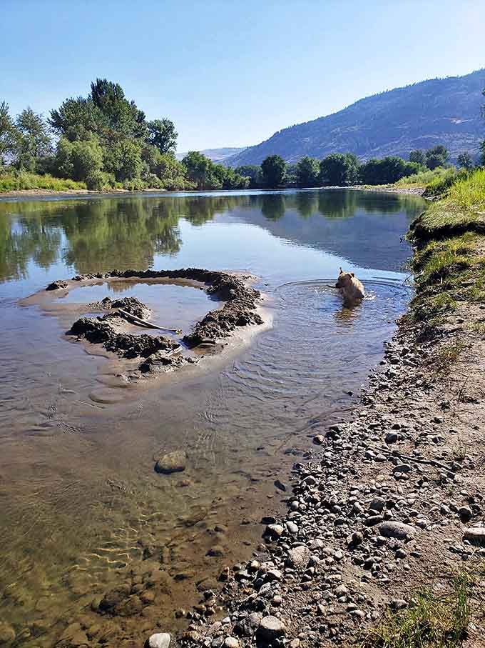 The Okanogan River creates nature's spa day &ndash; clear waters, mountain views, and the kind of tranquility that expensive meditation apps try desperately to recreate.