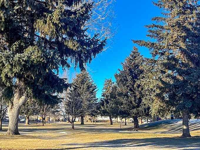 LaBonte Park's serene pond reflects the big Wyoming sky, offering a peaceful retreat where locals fish, picnic, and pretend they're not checking work emails.