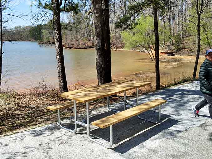 Lakeside picnic tables positioned perfectly for outdoor dining where even sandwiches taste like they've been professionally catered by nature.