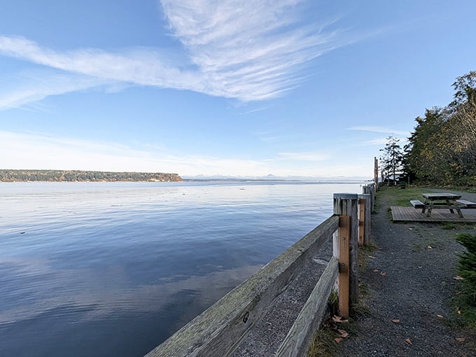 Seawall Park offers front-row seats to nature's daily performance, no ticket required, just show up and breathe.