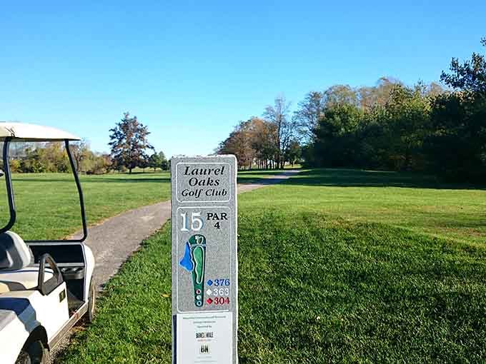 Laurel Oaks Golf Club offers fairways where your golf game can disappoint you in absolutely beautiful surroundings for a change.