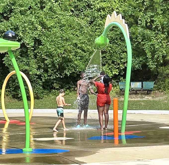 Water features that turn summer heat into squeals of joy, because sometimes getting soaked is the whole point.