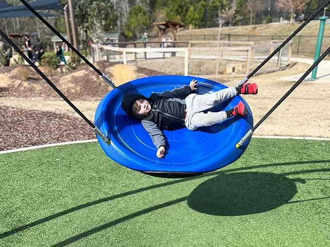 The saucer swing is basically a hammock that moves, which sounds like something adults should have invented for themselves first.