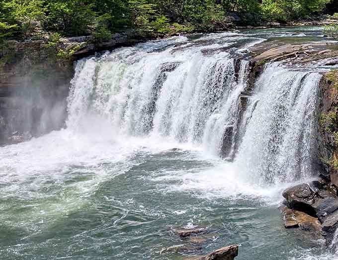 Little River Canyon's waters don't just flow; they perform—nature's version of Broadway where every seat offers million-dollar views at public park prices.