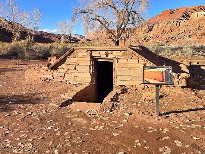 A root cellar dug into the earth where pioneers stored provisions without a single kilowatt of electricity required.