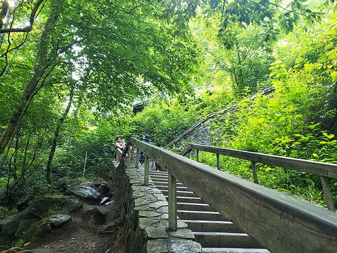 The stairway to waterfall heaven is mercifully short, because those knees aren't getting any younger, friends.