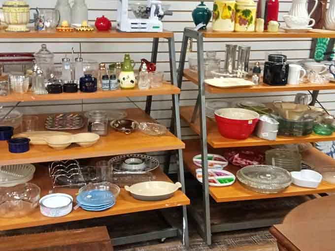 Shelves of glassware and kitchen treasures organized better than most people's actual kitchens, proving thrift doesn't mean chaos.