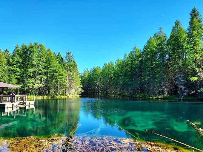 Kitch-iti-kipi's turquoise waters are so clear you'll swear someone installed a giant aquarium in the forest.