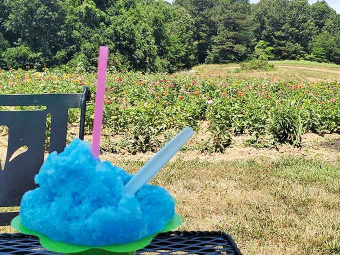 Fresh produce growing under Kentucky sunshine, reminding you that farm-to-table isn't just a trendy phrase but actual reality here.