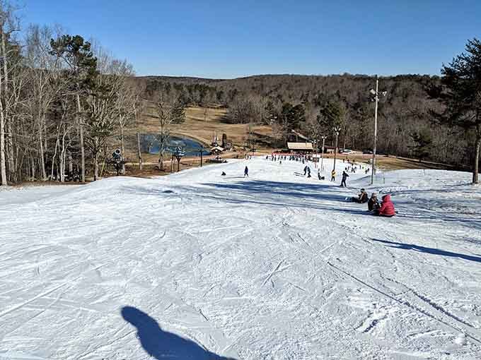 Snow in Alabama isn't a myth; Cloudmont's slopes prove the state has more tricks up its sleeve.