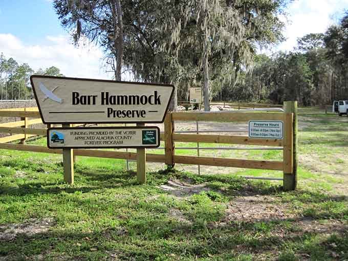 Barr Hammock Preserve: where Florida shows off its wild side without the souvenir shops and overpriced parking.