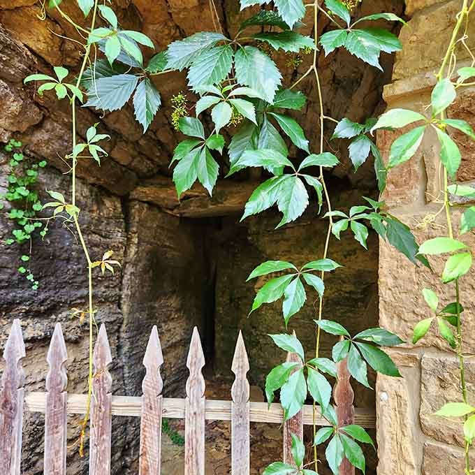 See that dark opening behind the fence? That's an actual mining cave, not a hobbit home, though honestly both seem equally magical.