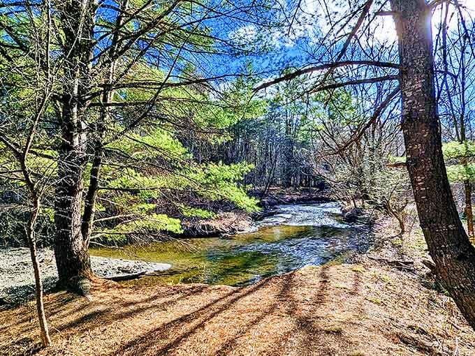 Nature's therapy session just minutes from downtown. This tranquil stream whispers secrets that busy minds need to hear occasionally.