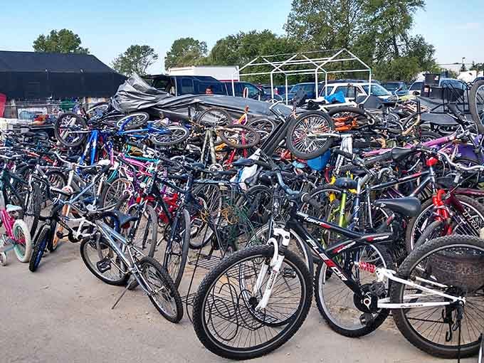 Bicycle heaven! Rows of two-wheeled transportation options stand ready for new adventures, from casual cruisers to serious road warriors.