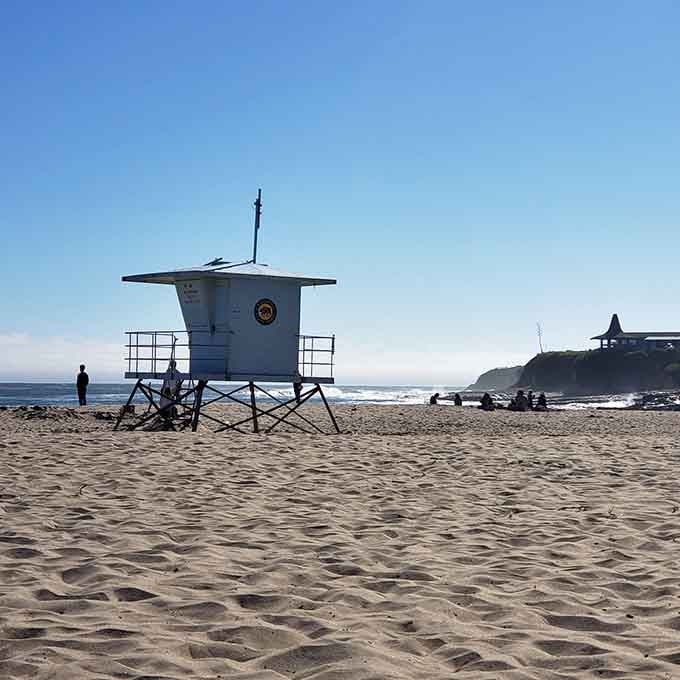 That lifeguard tower has the best office view in all of Santa Cruz County, hands down.