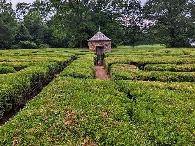 The Harmonist Labyrinth's winding hedges invite contemplation, like a meditation app but with actual fresh air.