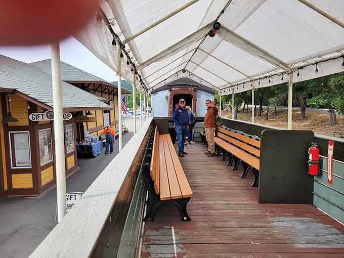 Covered platform seating means you can enjoy the views while staying comfortable, rain or shine, like nature's waiting room.