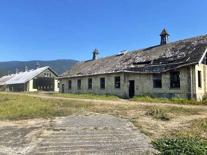 Multiple farm structures create an entire ghost village, each building telling its own piece of the story.