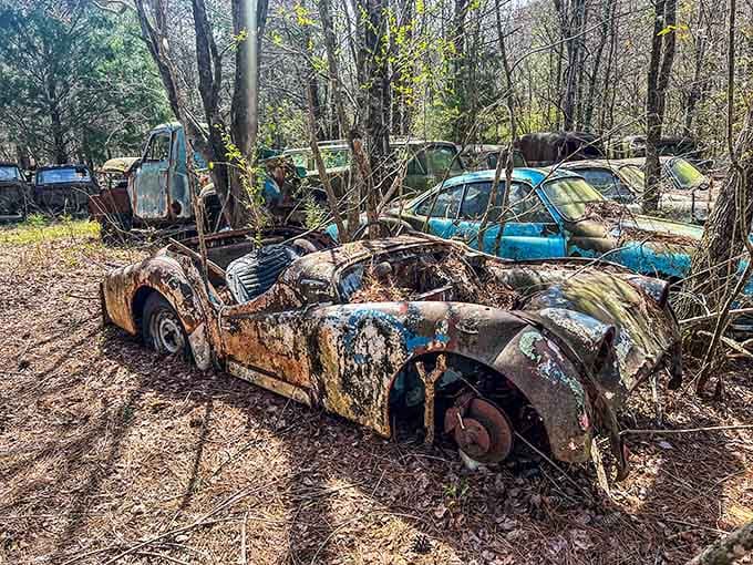 This sports car's glory days are long gone, but its sculptural decay tells stories words never could.