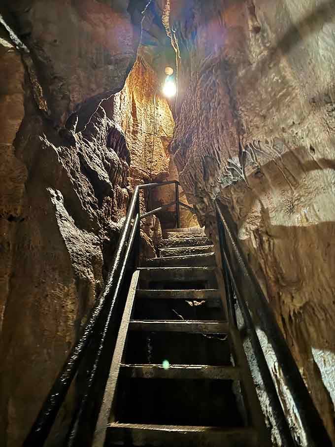 Every great adventure requires a few stairs, but these lead somewhere truly extraordinary.