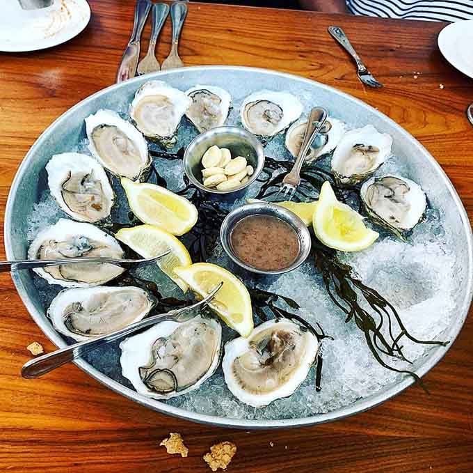 These glistening oysters aren't just seafood; they're little miracles on the half shell, waiting to transport you straight to maritime heaven.