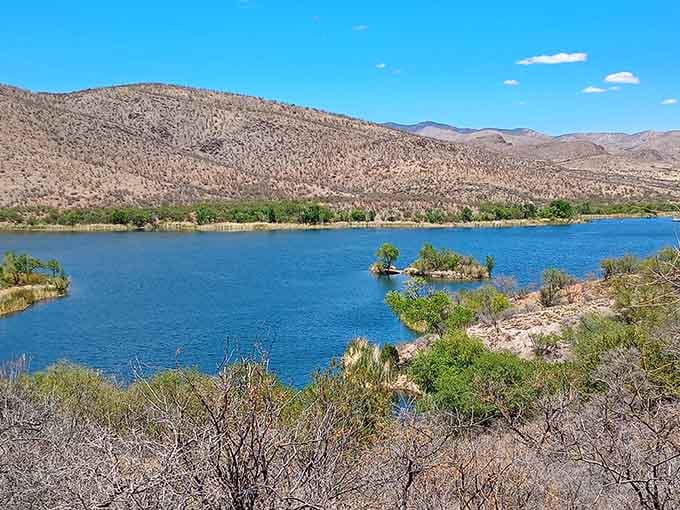 This view proves Arizona has more personalities than your average character actor, and water recreation is definitely one of them.