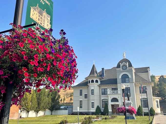 Hanging flower baskets frame the courthouse like nature's way of saying small towns do civic pride right.