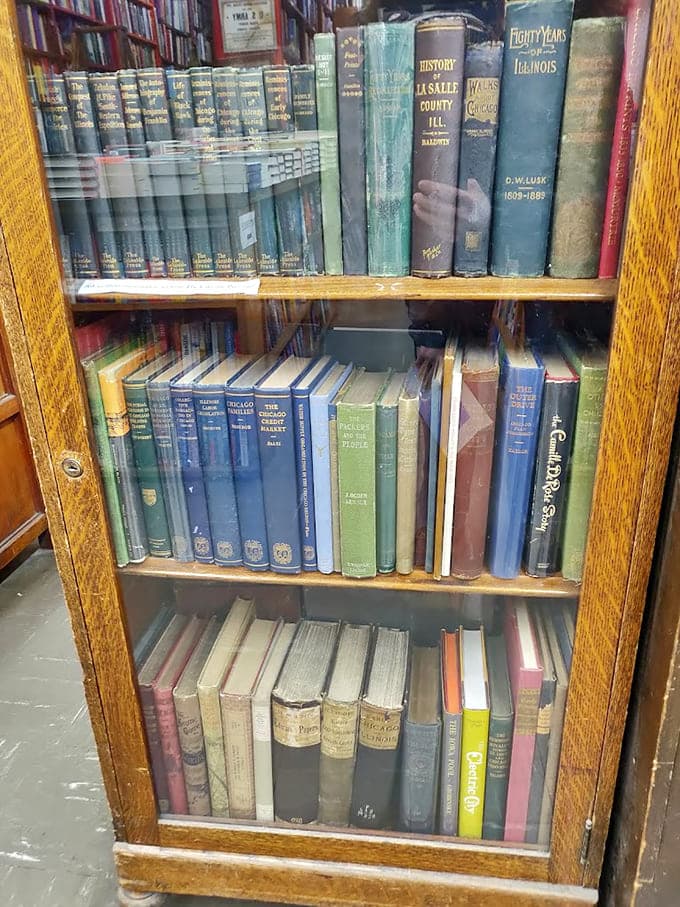 Vintage Illinois history books that smell like your grandparents' attic, but in the best possible way.