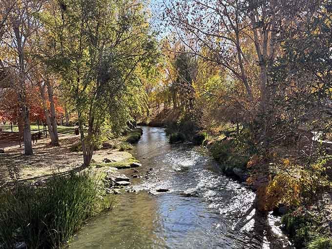 Autumn transforms the riverside into a painter's palette, proving fall foliage isn't just for mountain towns.