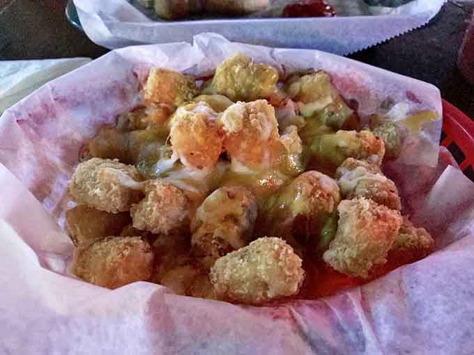 Golden tater tots drowning in melted cheese, because sometimes the best ideas are also the simplest ones available.