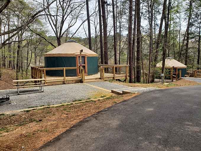 These yurts offer the perfect compromise between roughing it and actually sleeping comfortably at night.