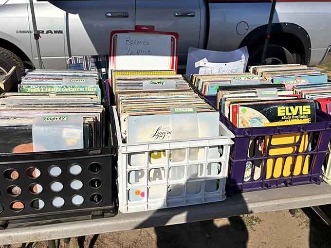 Vinyl records organized by genre wait patiently for someone to rescue them and give them a turntable to call home again.