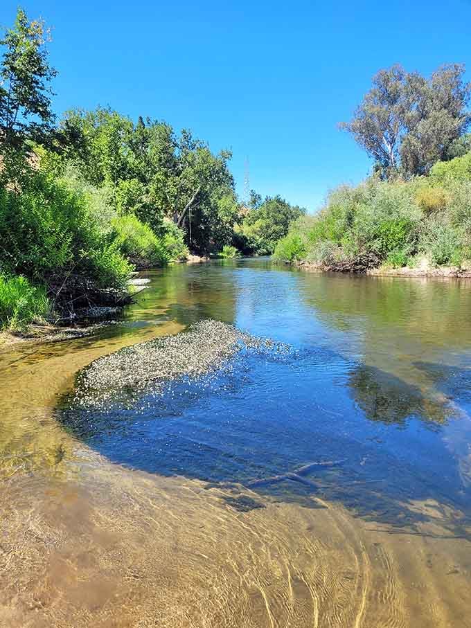 The San Joaquin River flows serenely through lush greenery, offering a refreshing escape where your biggest decision is which rock to skip.
