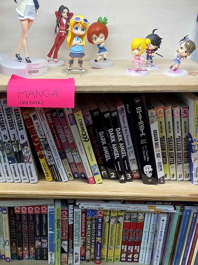 Manga fans rejoice: there's a dedicated section with figurines standing guard over Japanese graphic novel collections.