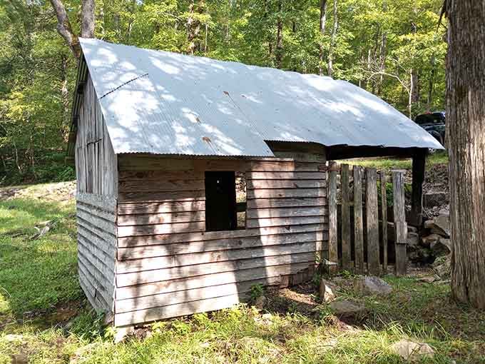 This weathered cabin stands as a quiet witness to generations of Ozark explorers and adventurers.