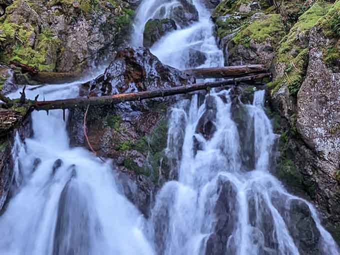 Rodney Falls cascades with hypnotic rhythm, nature's own white noise machine that drowns out everything except your "wow" moments.