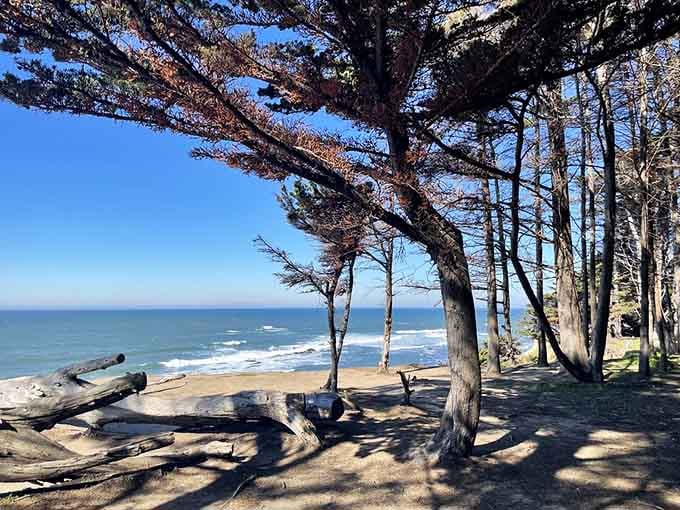 Windswept cypresses frame the Pacific like Mother Nature decided to become an interior decorator with impeccable taste.